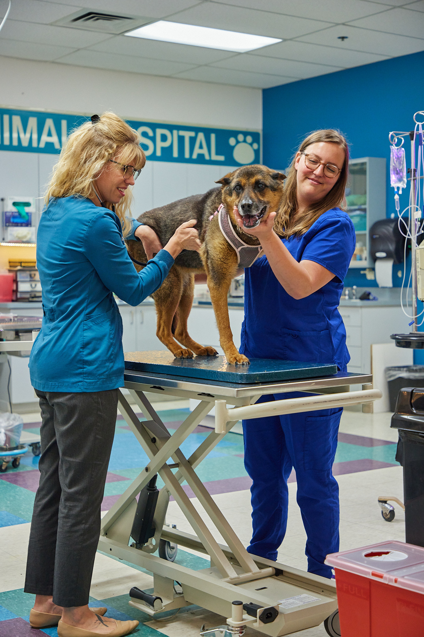 OUR HOSPITAL | All Paws Animal Hospital