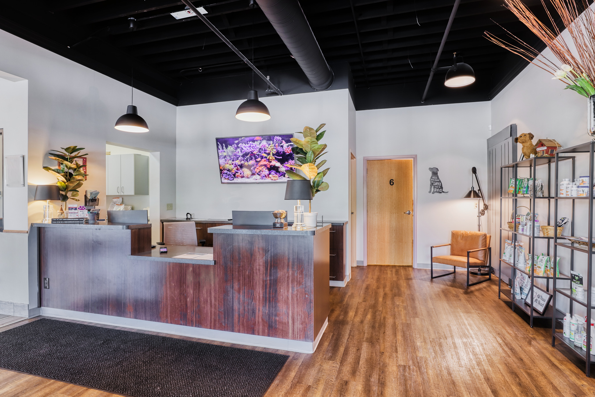 OUR HOSPITAL | All Paws Animal Hospital