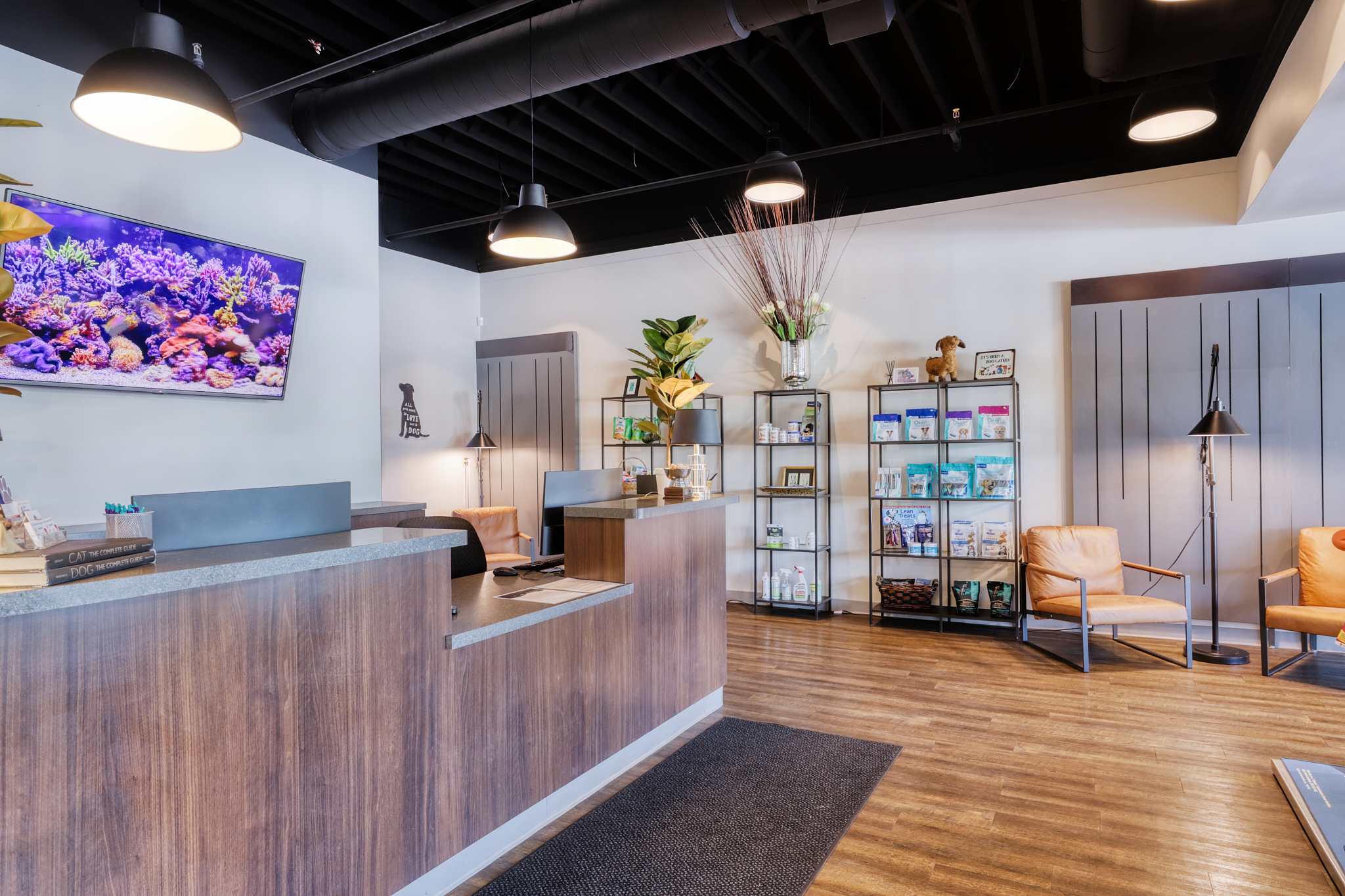 OUR HOSPITAL | All Paws Animal Hospital