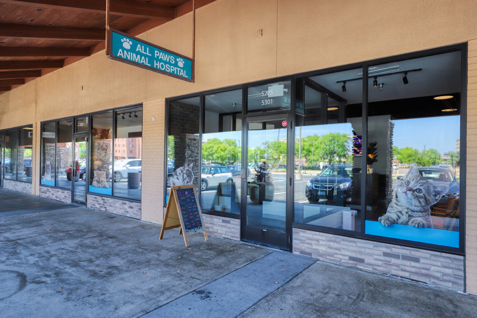 OUR HOSPITAL | All Paws Animal Hospital