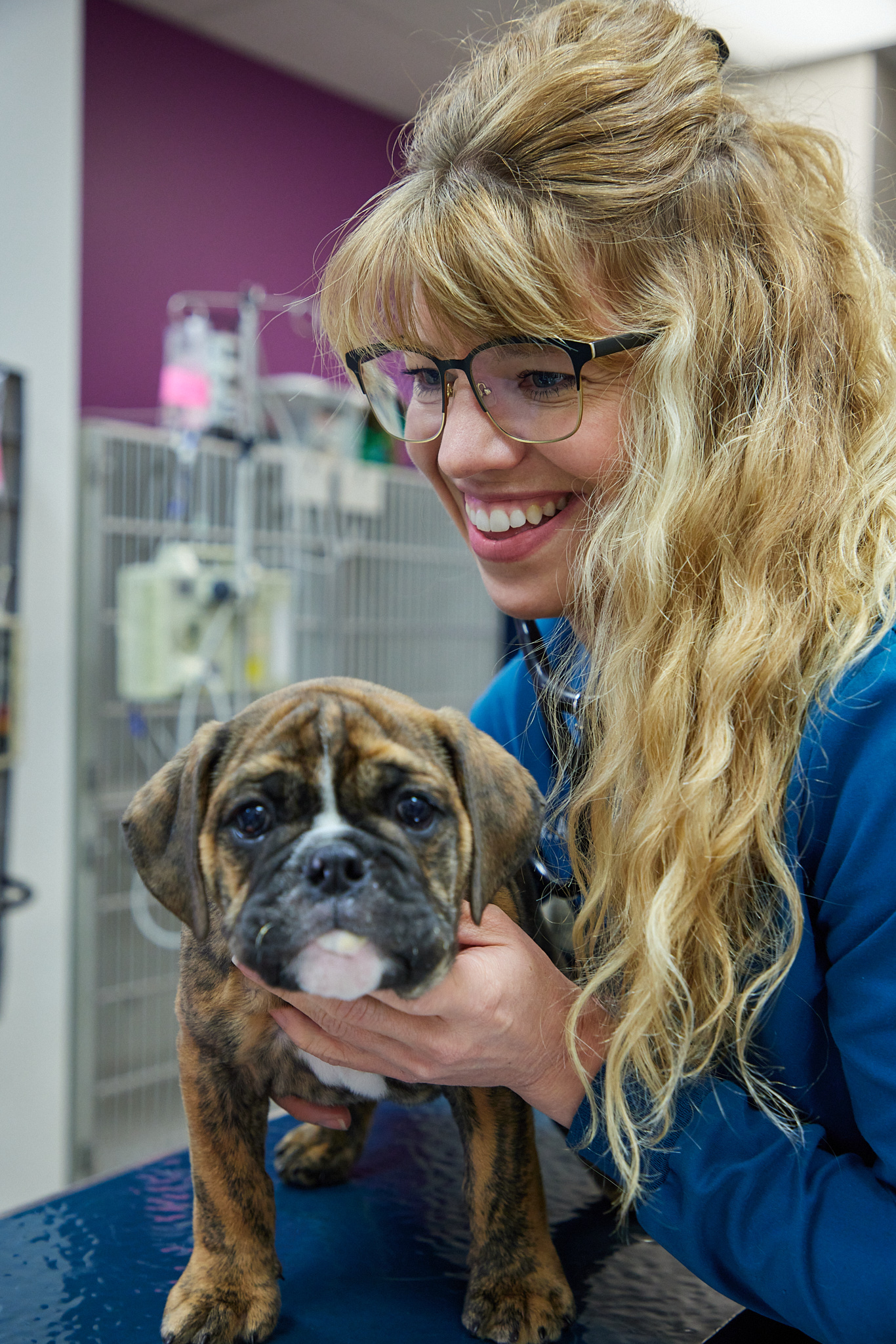 OUR HOSPITAL | All Paws Animal Hospital